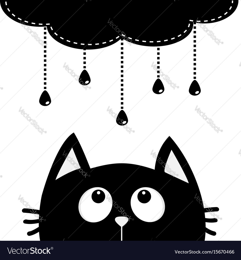 Black cat looking up to cloud with hanging shining