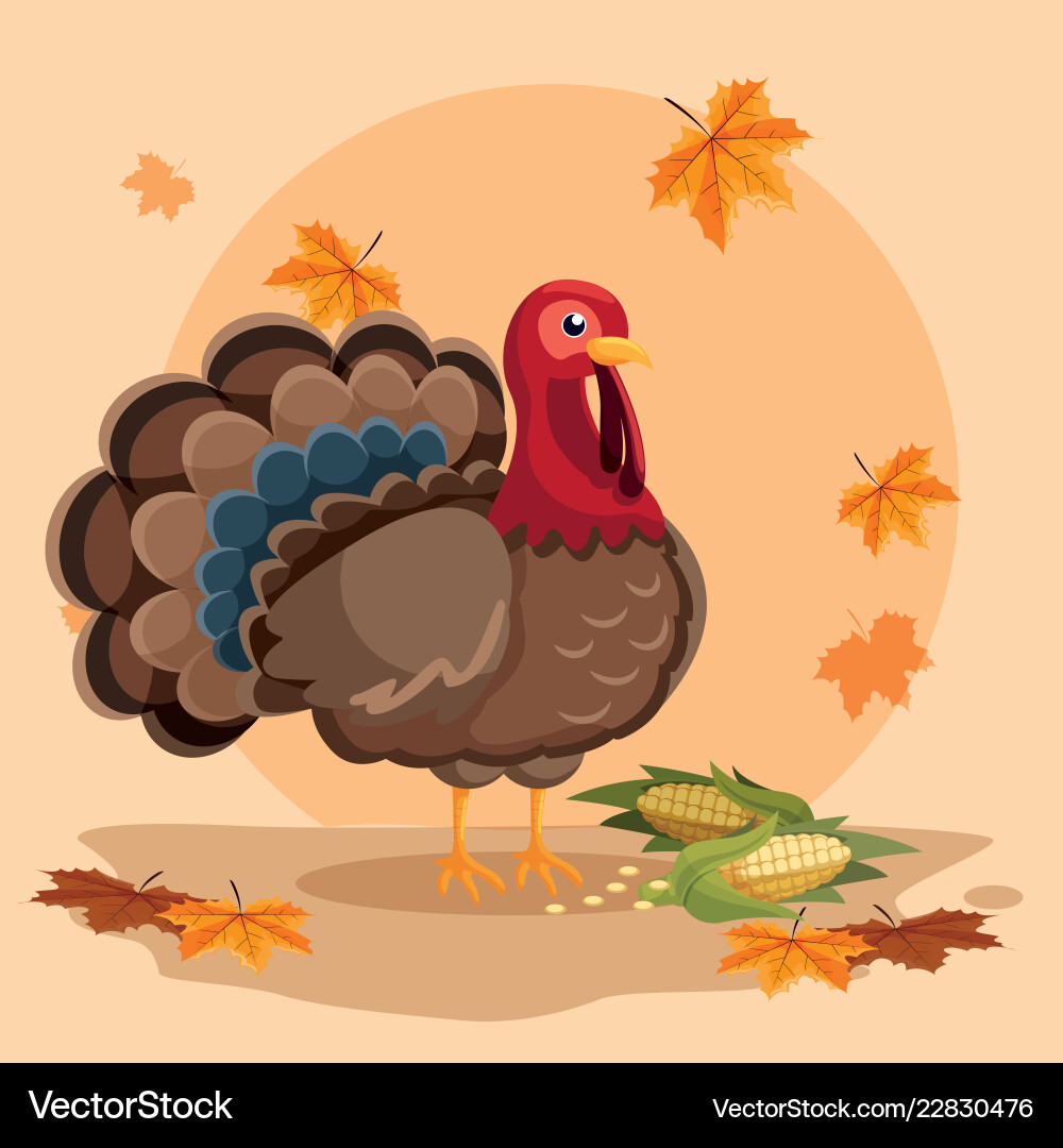 Turkey with cobs of thanksgiving day Royalty Free Vector