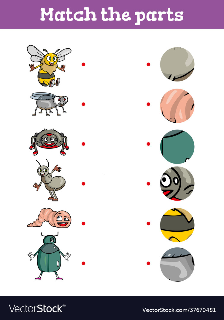 Match part educational game for children Vector Image