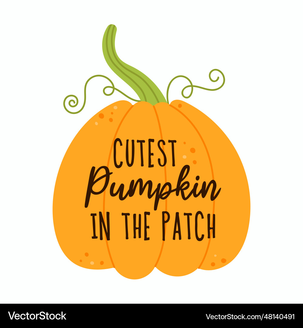 Cutest pumpkin in the patch hand drawn lettering Vector Image