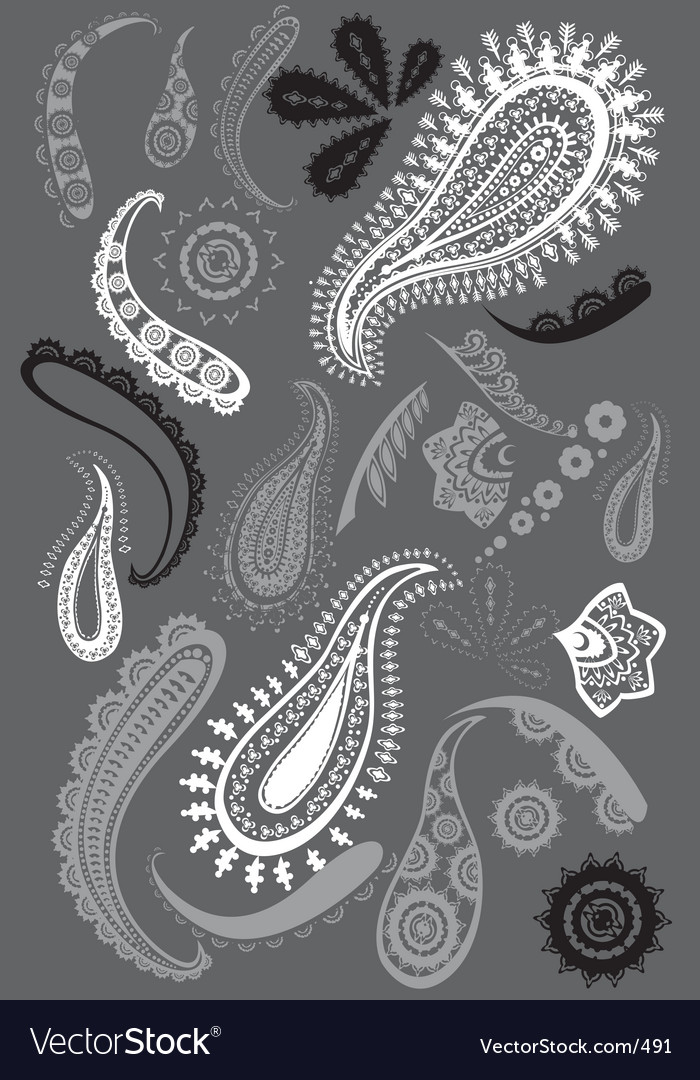 Paisley design elements Royalty Free Vector Image