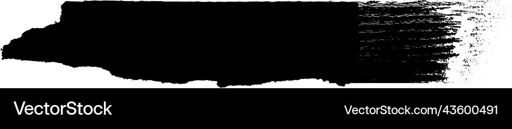 Textured paper cardboard corrugated abstract Vector Image