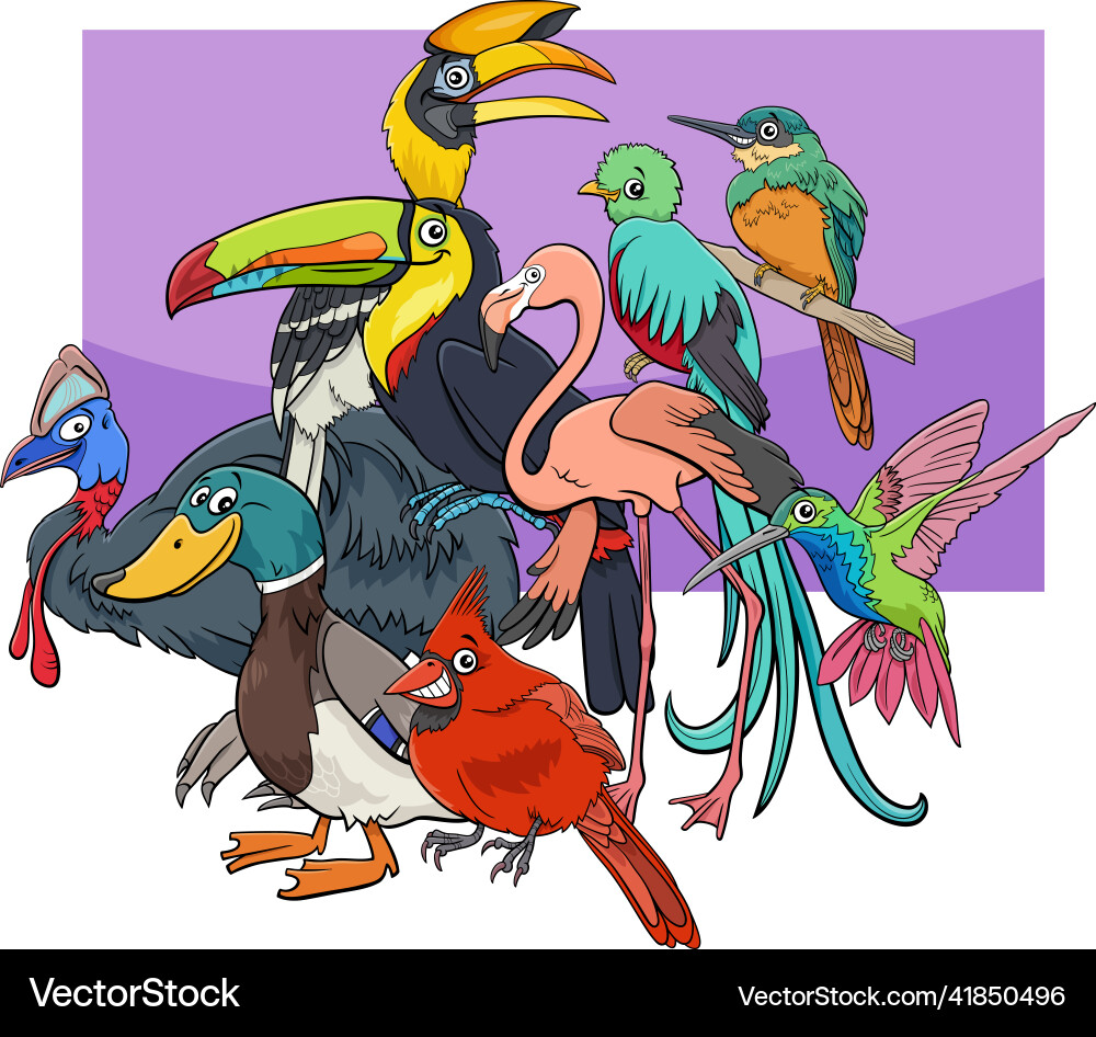 Cartoon birds animal characters group Royalty Free Vector