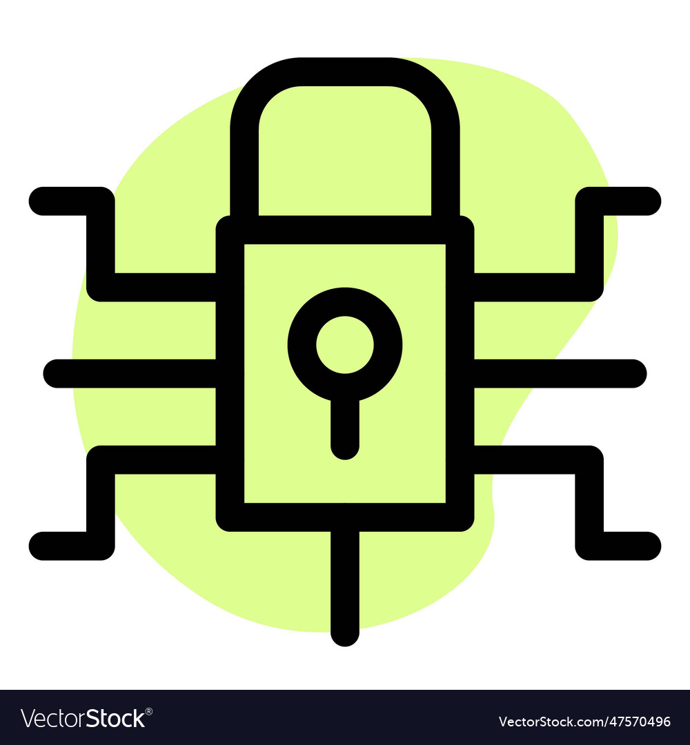 Security software installation into system Vector Image