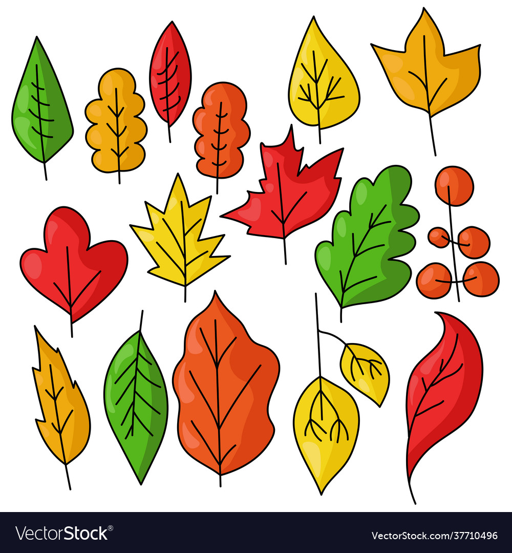 Set bright autumn doodle leaves falling leaves Vector Image