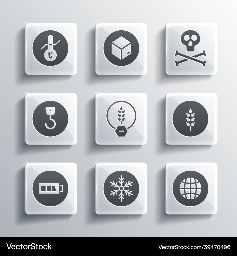 Set snowflake social network wheat gluten free Vector Image