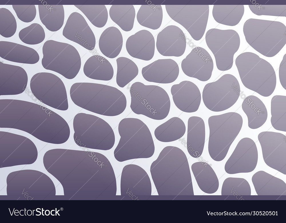 Abstract grey stone pattern pebbles background Vector Image