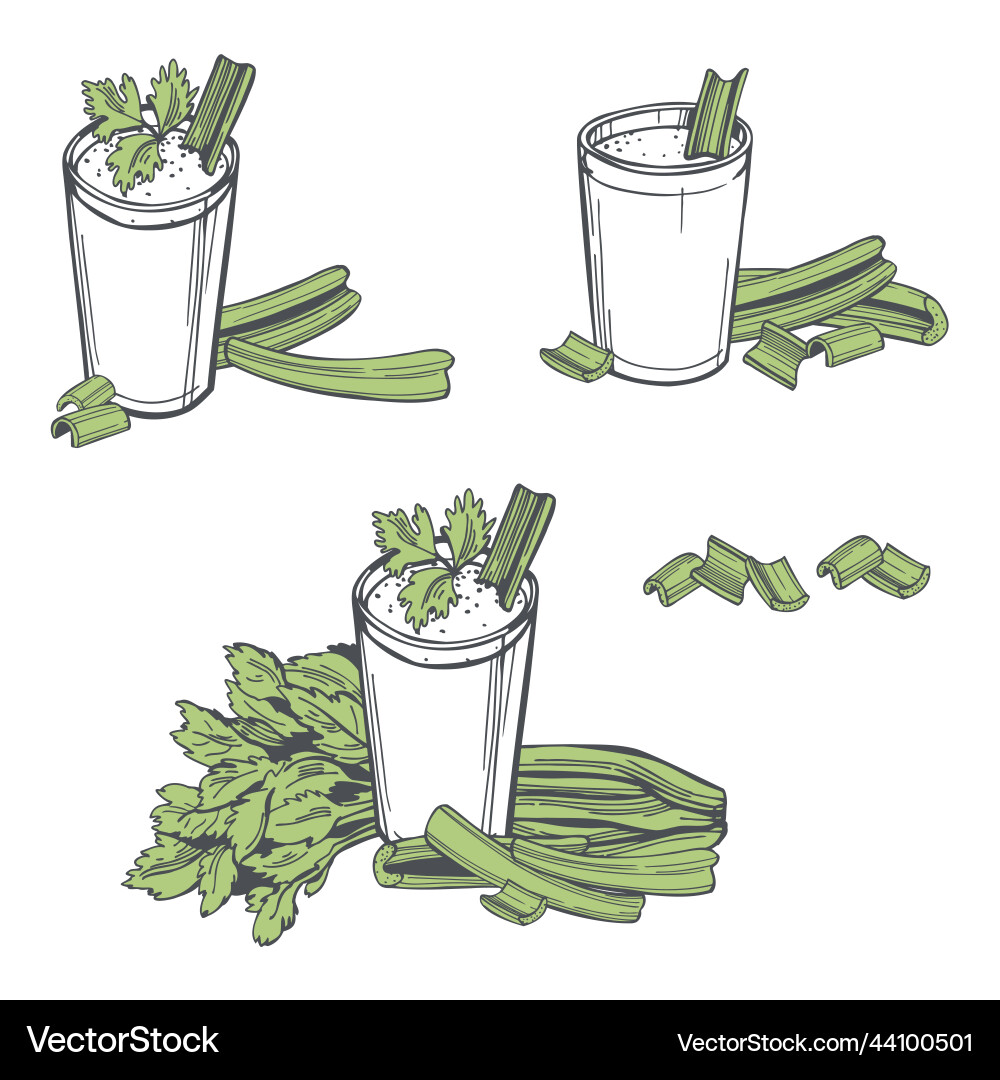 Celery set sketch Royalty Free Vector Image - VectorStock