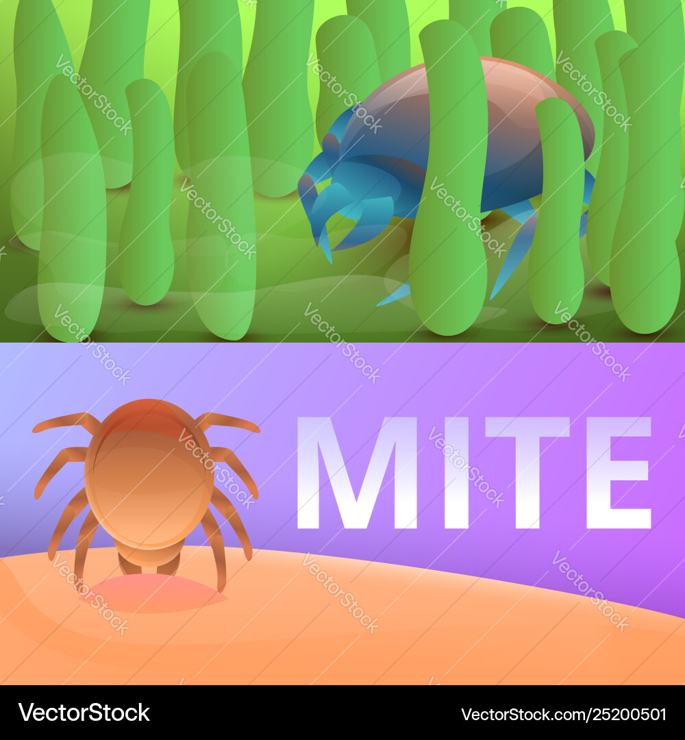 Insect mite banner set cartoon style Royalty Free Vector