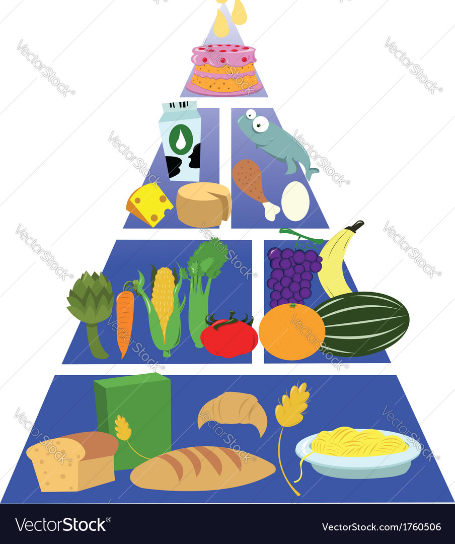 Food Pyramid Royalty Free Vector Image - VectorStock
