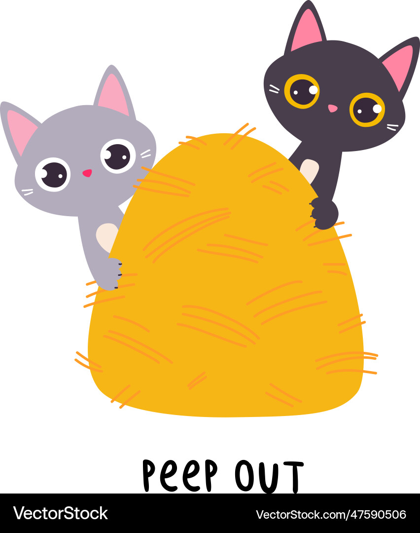 Funny cat peep out from hay stack as english verb Vector Image