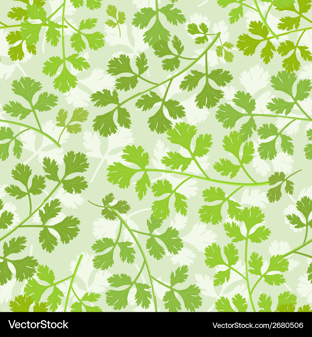 Seamless texture of parsley Royalty Free Vector Image