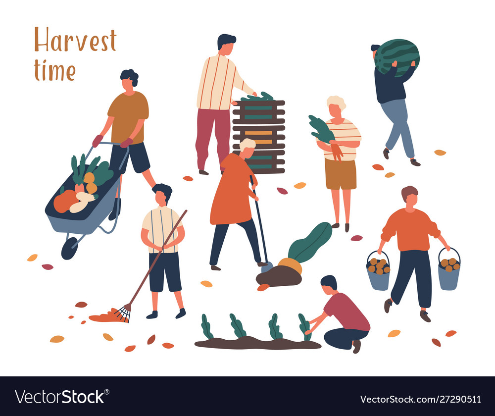 Autumn harvest time flat set Royalty Free Vector Image