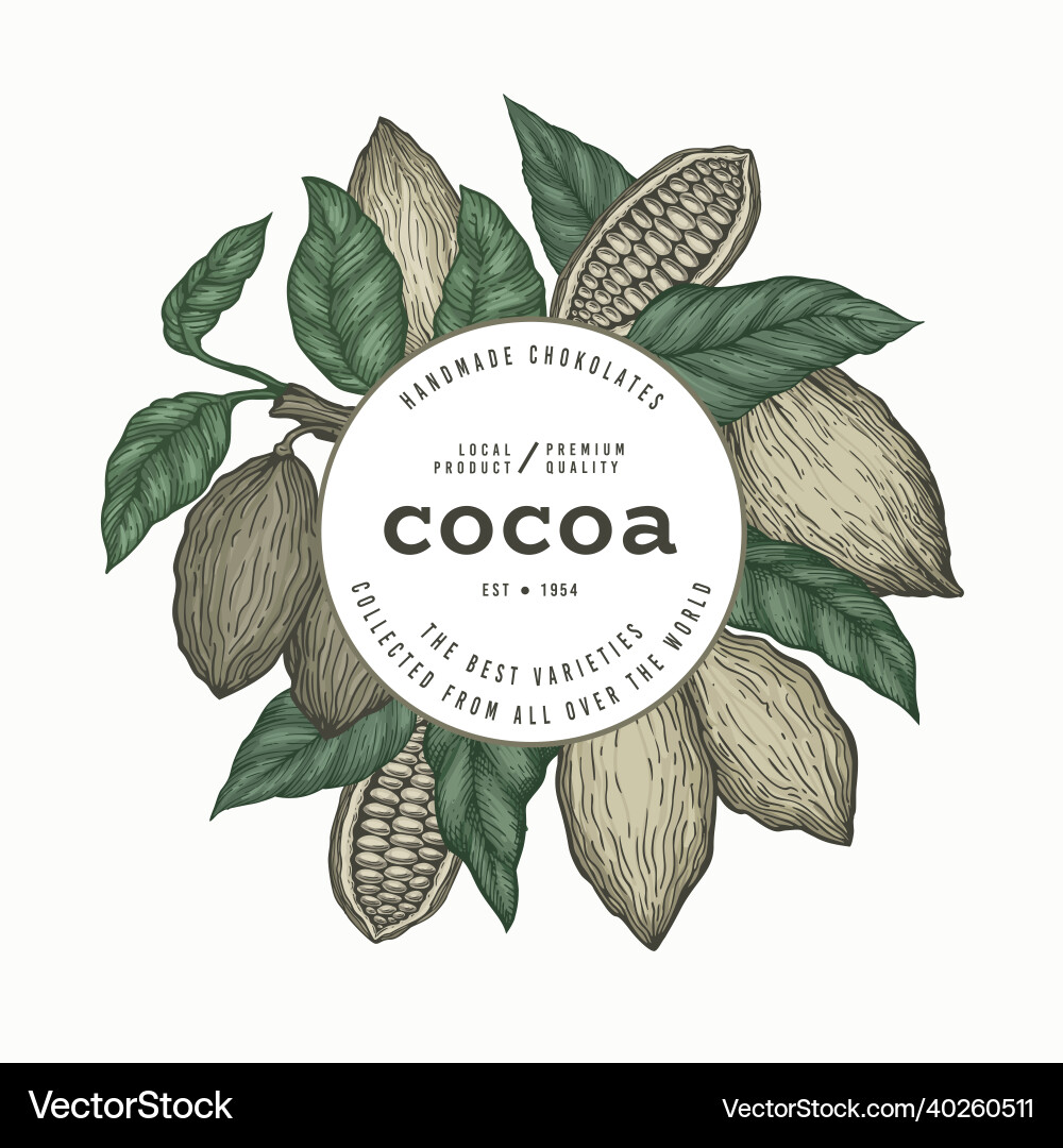 Cocoa color banner template chocolate retro Vector Image