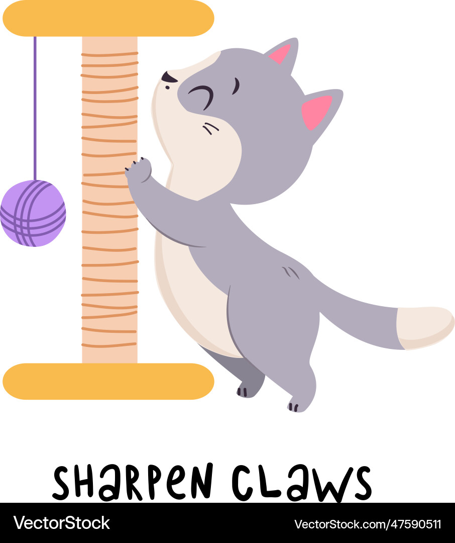 Funny grey cat sharpen claws at scratching post as