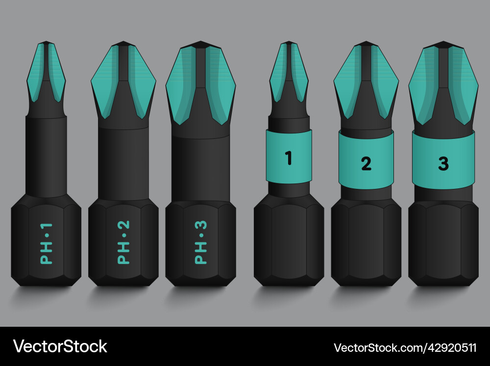 Set of screwdriver bits torsion bits for impact Vector Image