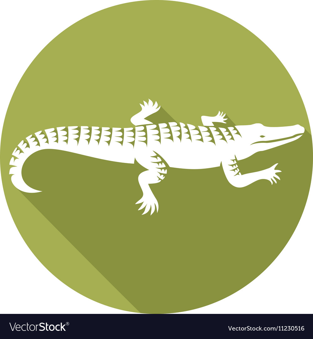 Crocodile Icon Royalty Free Vector Image - VectorStock