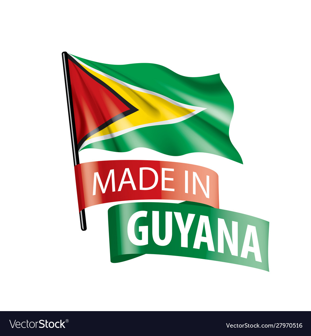 Guyana flag on a white Royalty Free Vector Image