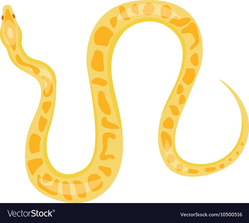 Python boa snake Royalty Free Vector Image - VectorStock
