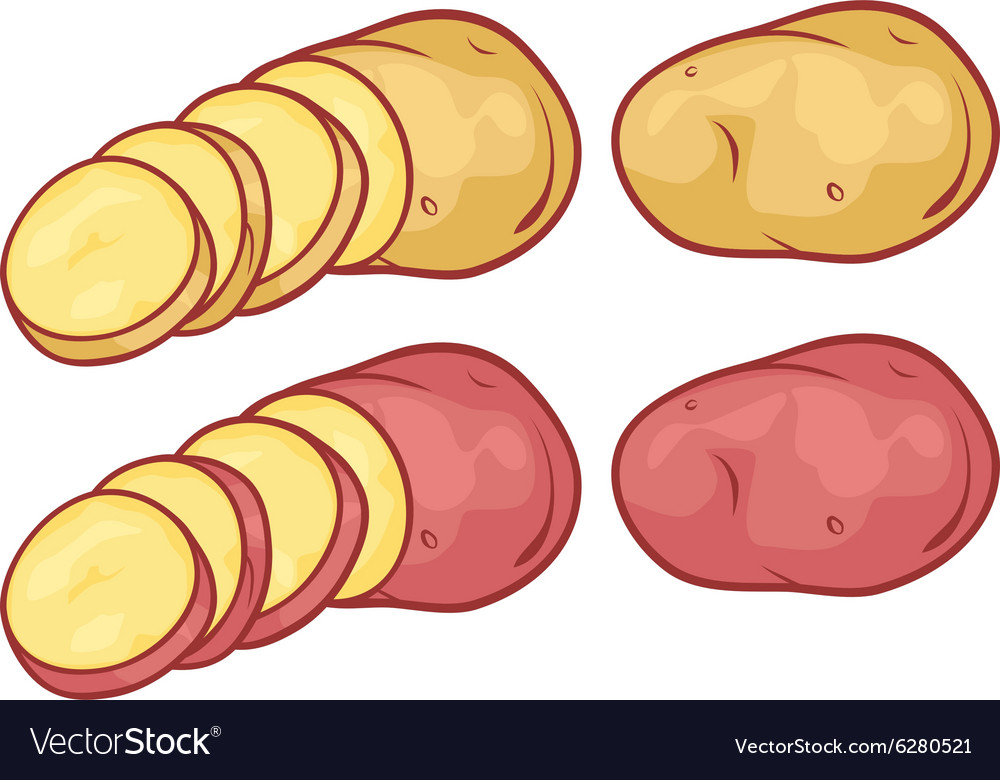 Potatoes with cuts Royalty Free Vector Image - VectorStock