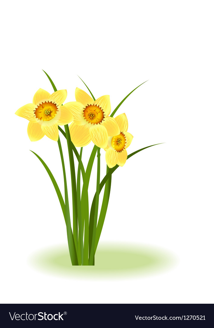 Spring flowers Royalty Free Vector Image - VectorStock
