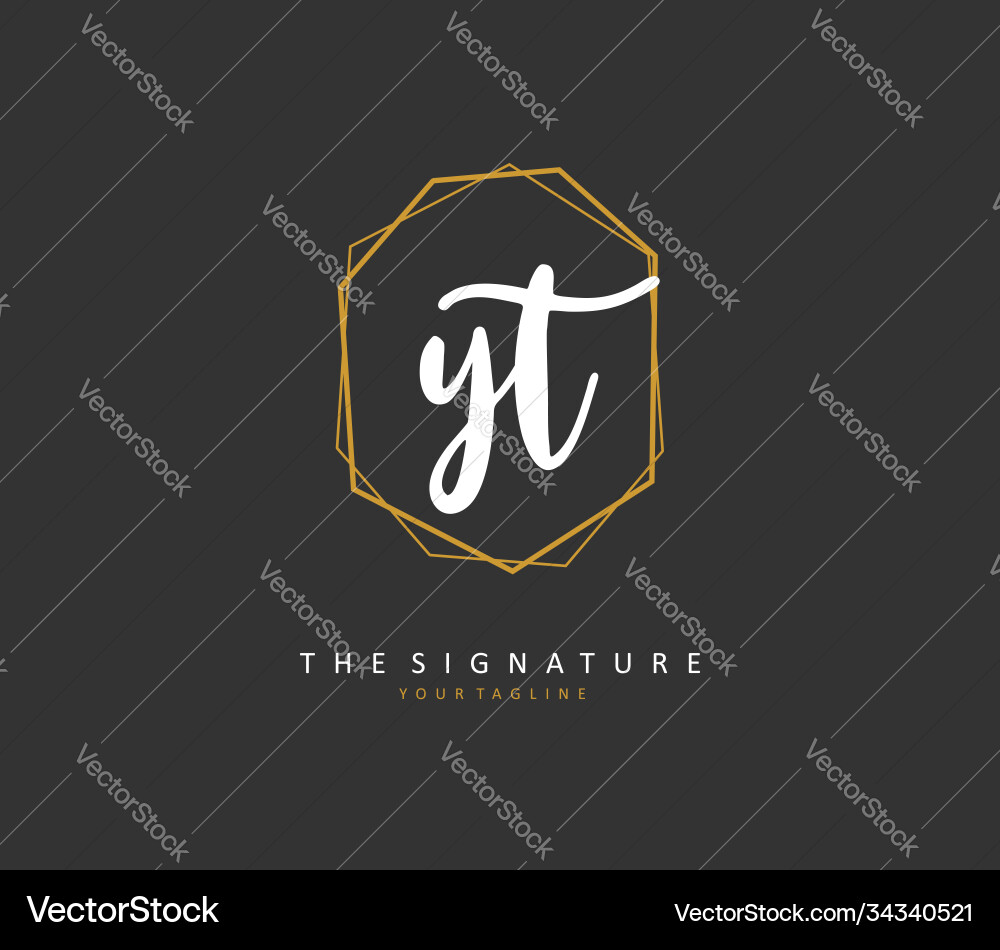 Y t yt initial letter handwriting and signature Vector Image