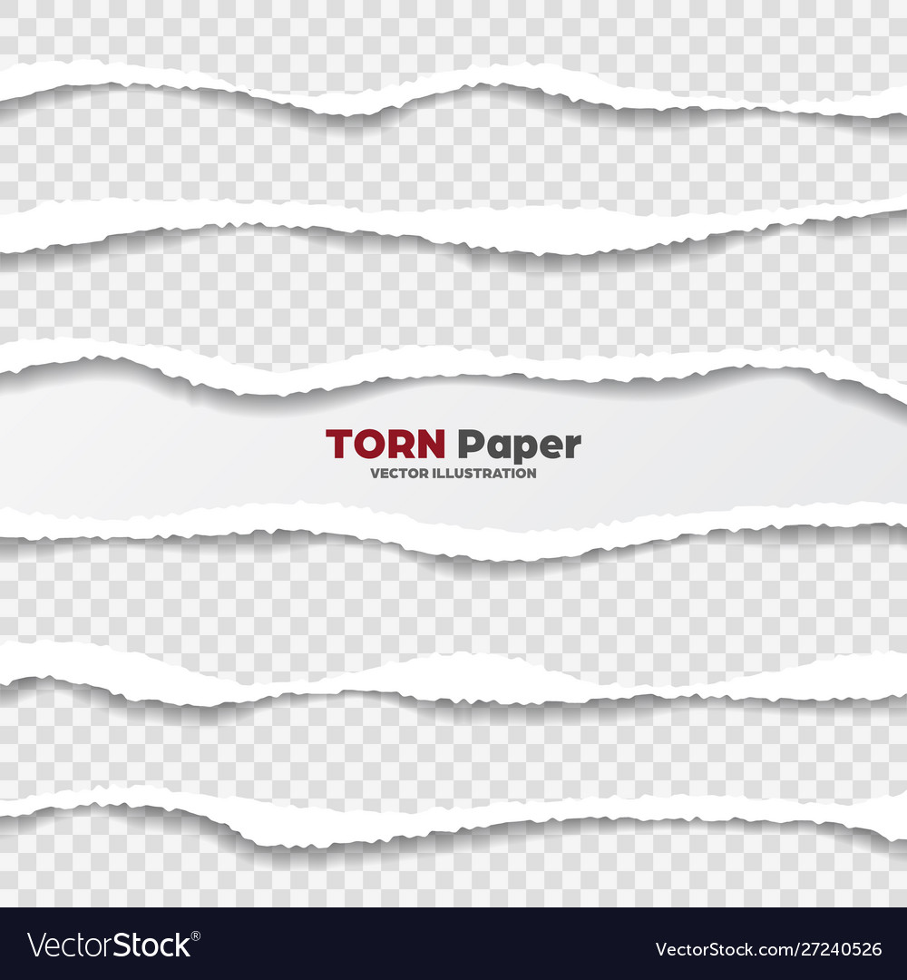 Realistic torn paper edges collection on Vector Image
