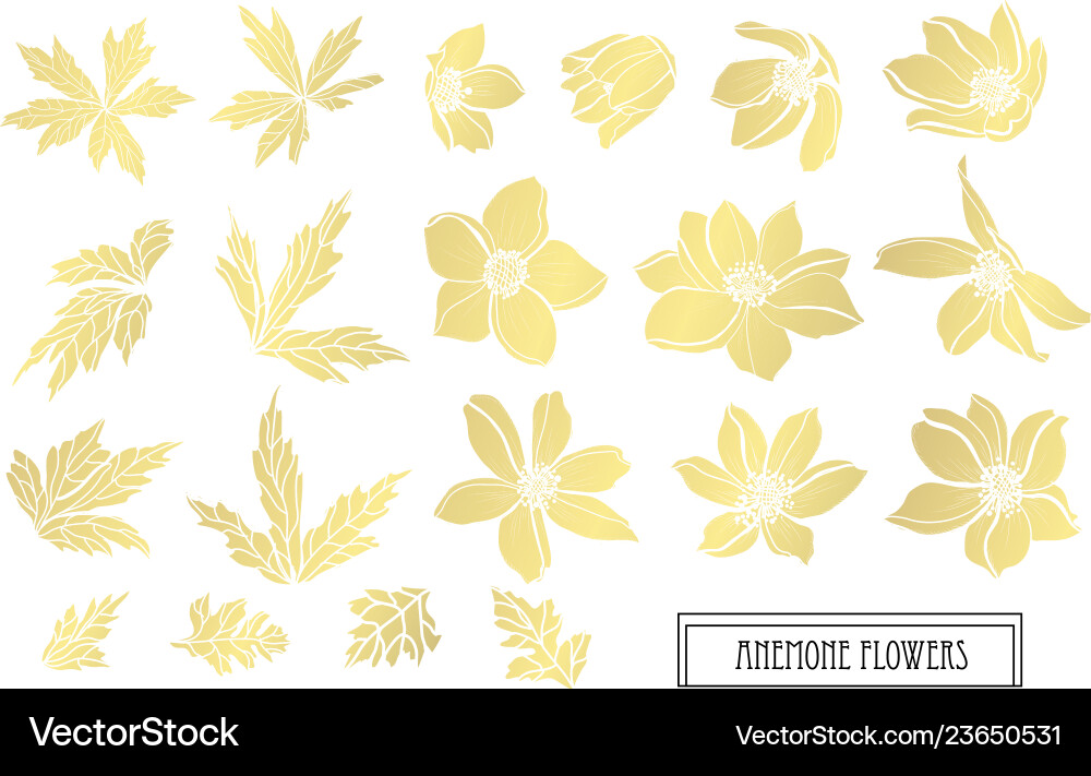 Golden floral decoration Royalty Free Vector Image