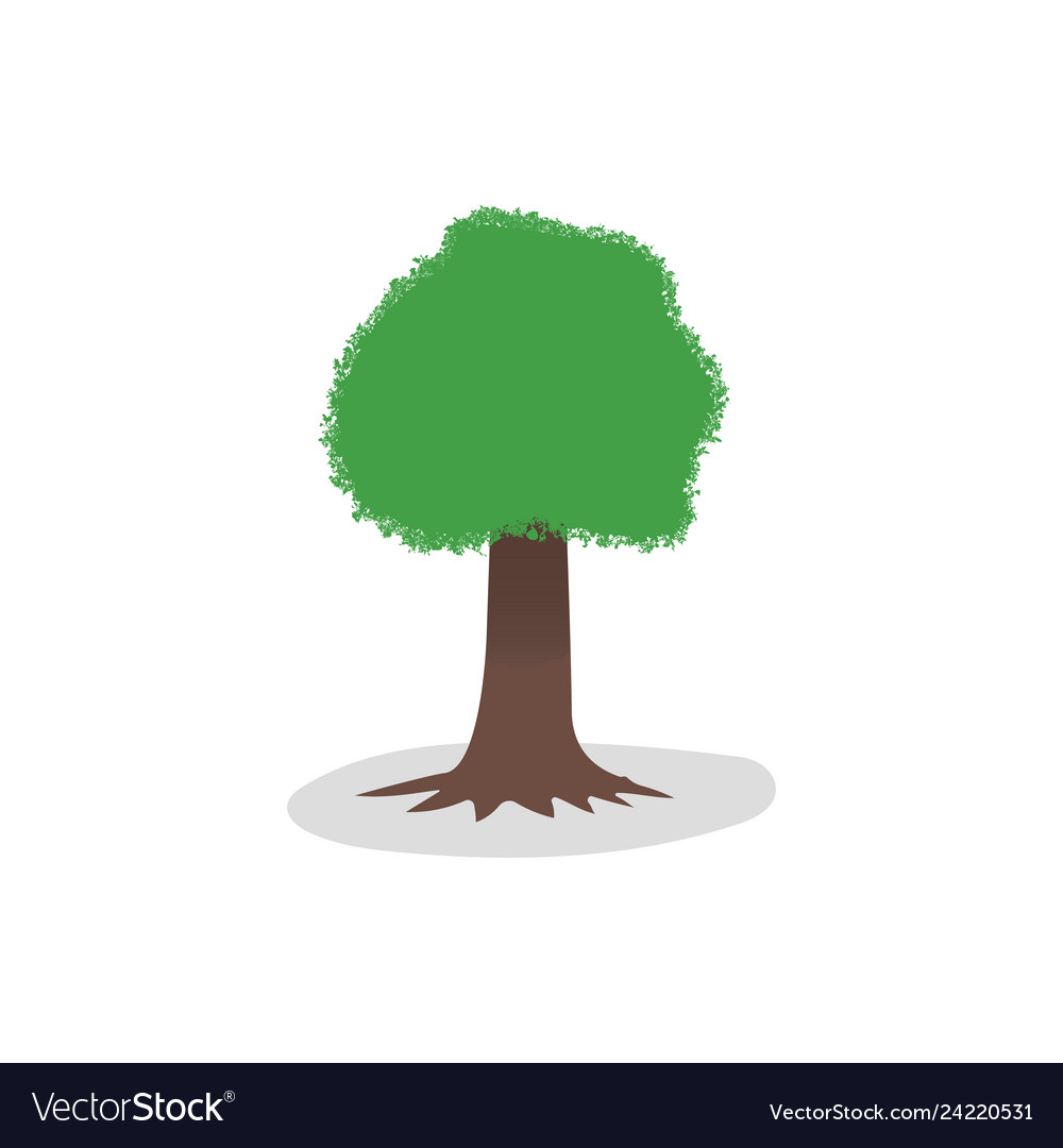 Tree with shadow Royalty Free Vector Image - VectorStock