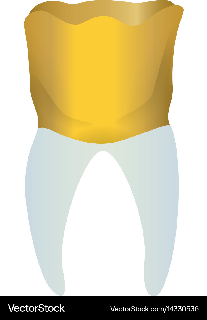 Golden tooth jewerly Royalty Free Vector Image