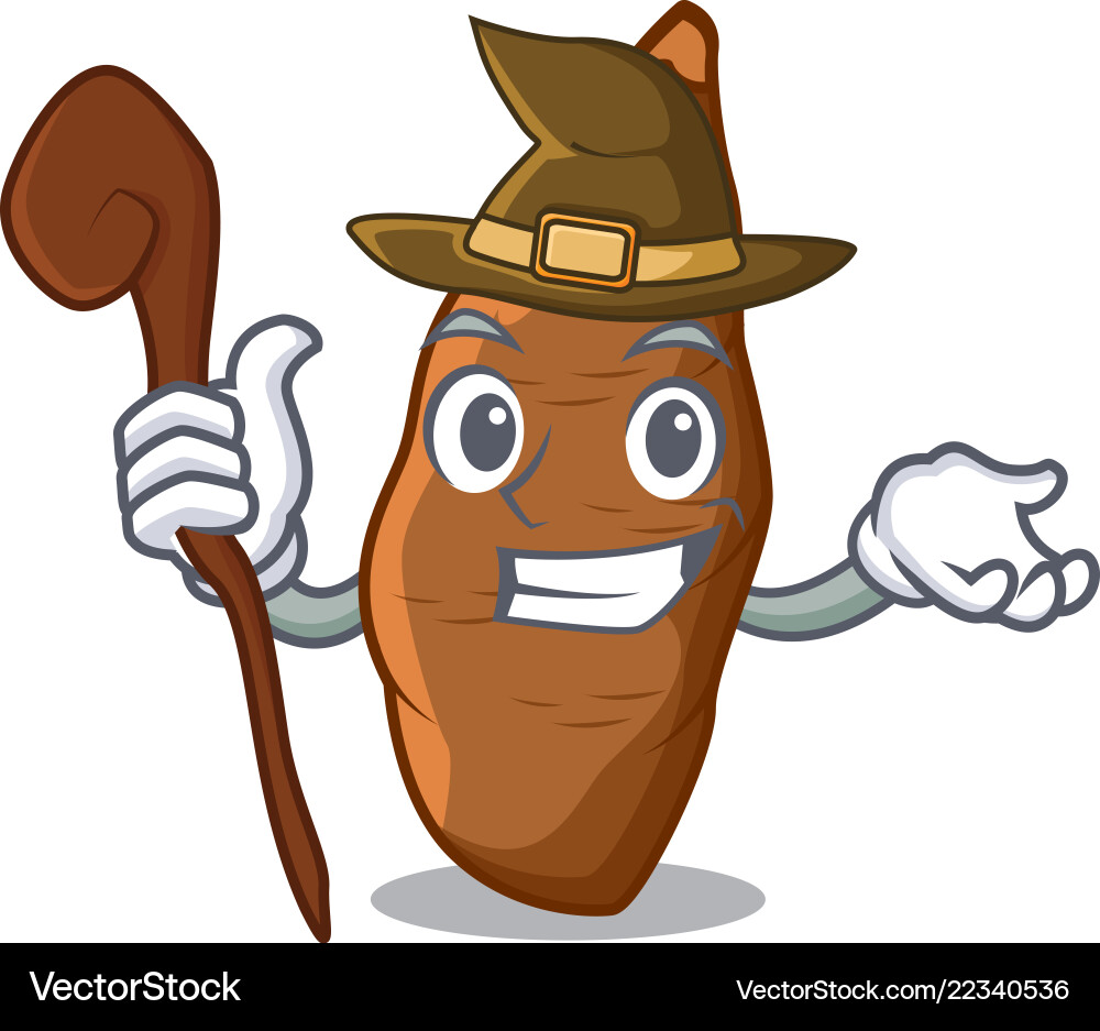 Witch ripe cassava on the cartoon table Royalty Free Vector