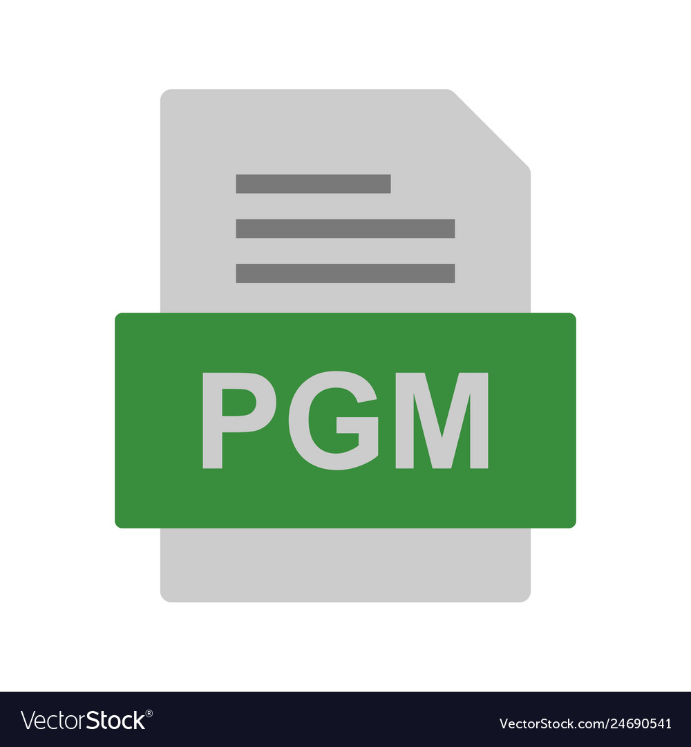 Pgm file document icon Royalty Free Vector Image