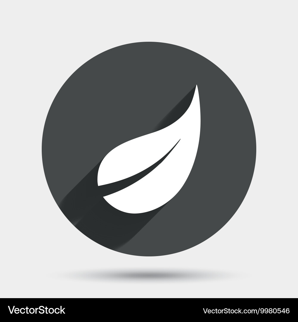 Leaf sign icon fresh product symbol Royalty Free Vector