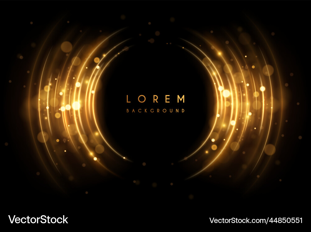 Abstract golden circle lines on black background Vector Image
