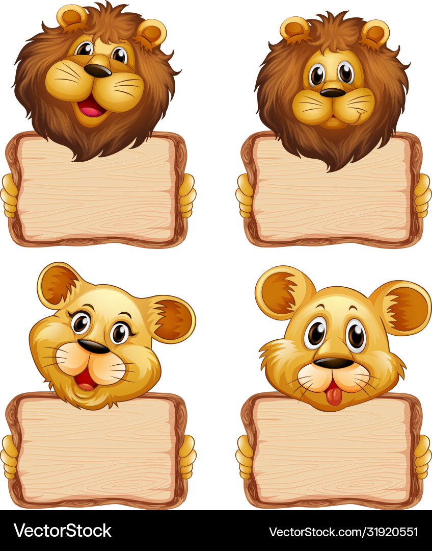 Board template with cute lion on white background Vector Image