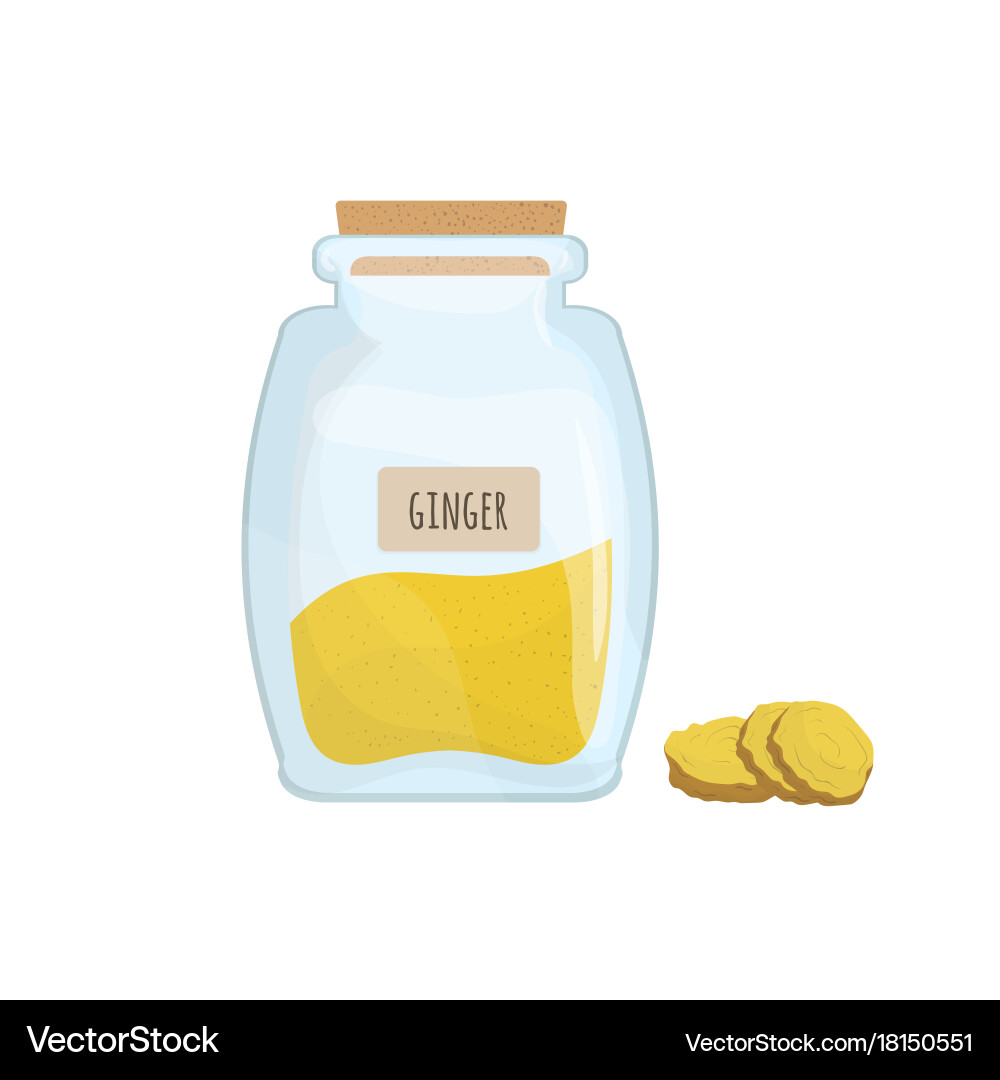 Ground ginger stored in clear jar isolated Vector Image