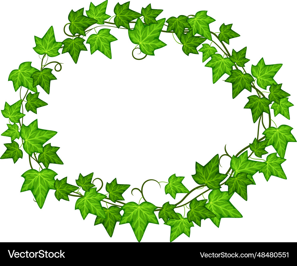 Ivy leaves circle round green decorative frame Vector Image
