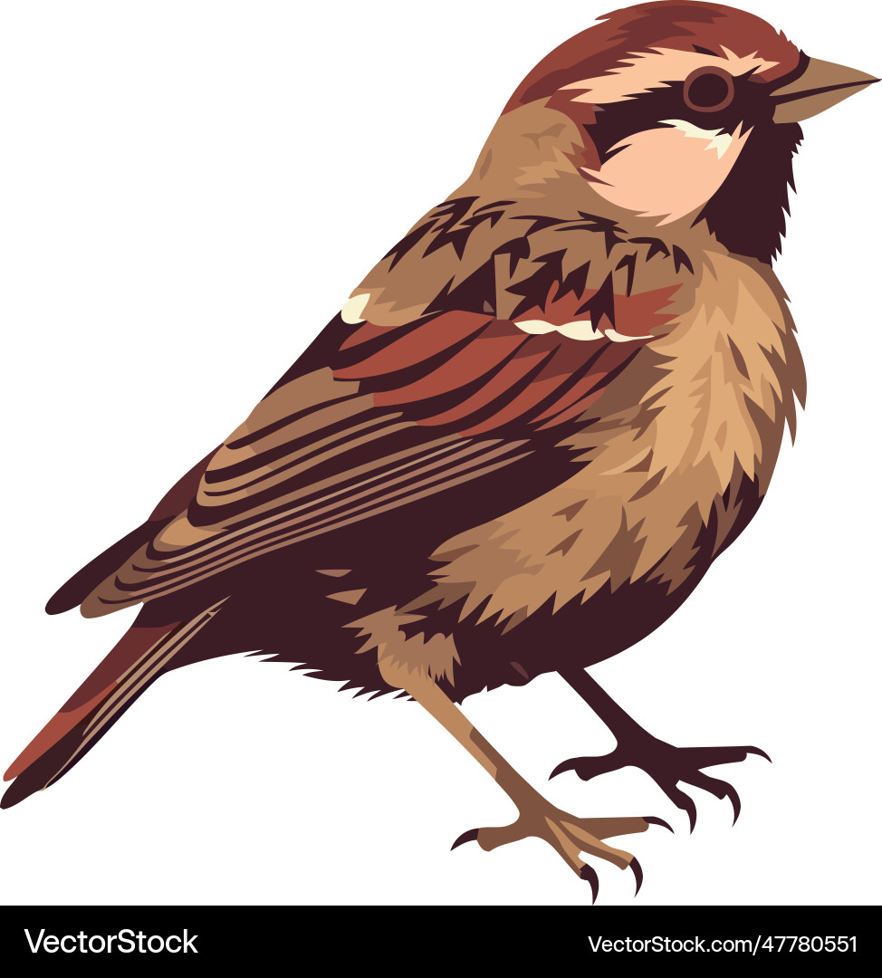 Small sparrow bird cute animal Royalty Free Vector Image