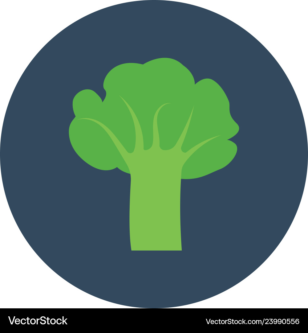Broccoli healthy food icon editable Royalty Free Vector
