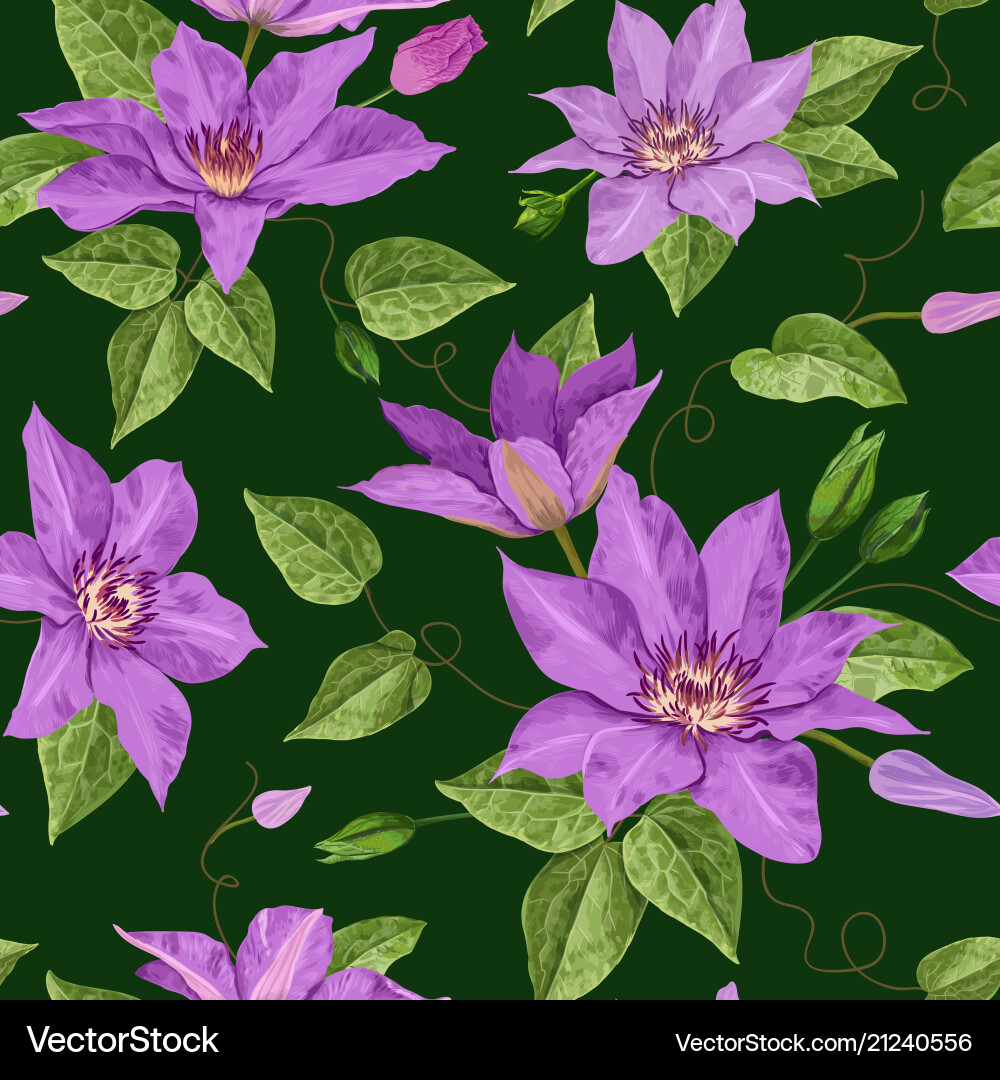 Clematis flowers floral tropical seamless pattern Vector Image