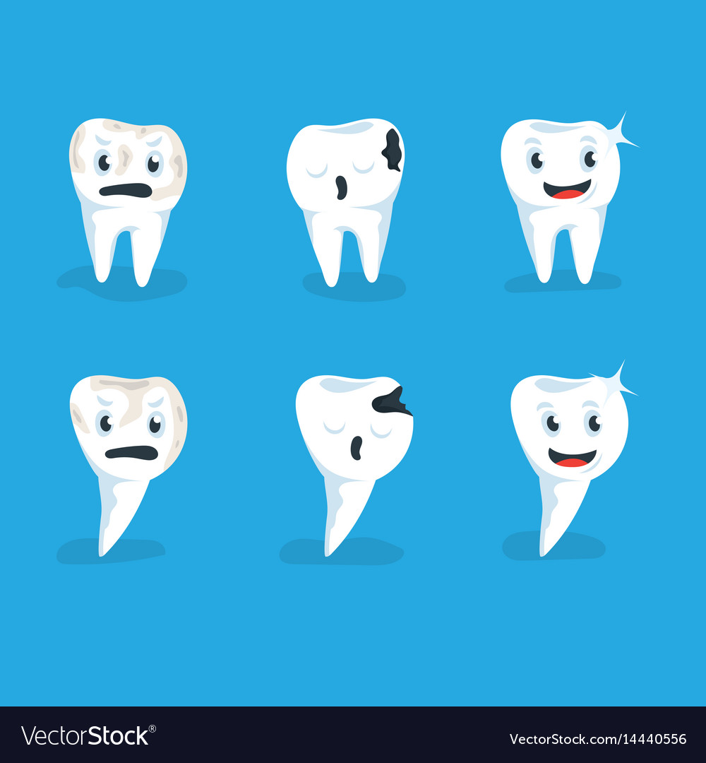 Set healthy human teeth and Royalty Free Vector Image