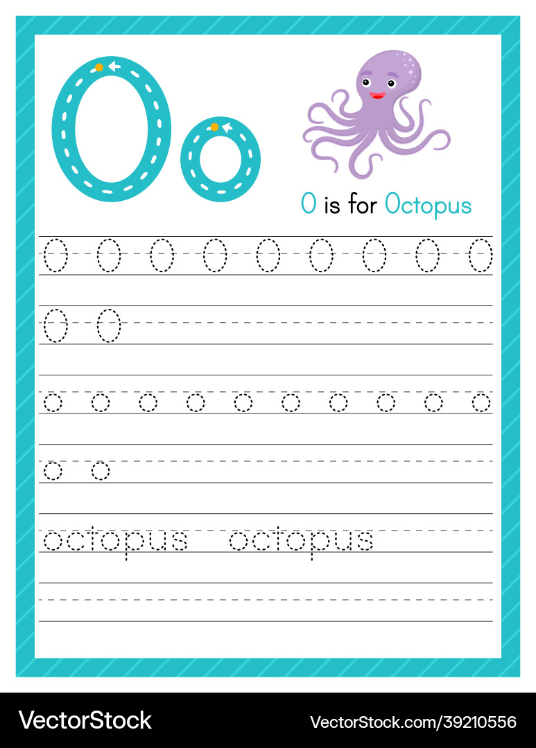 Trace letter o uppercase and lowercase alphabet Vector Image