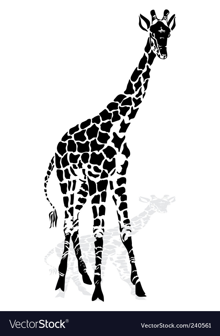 Giraffe Royalty Free Vector Image - VectorStock