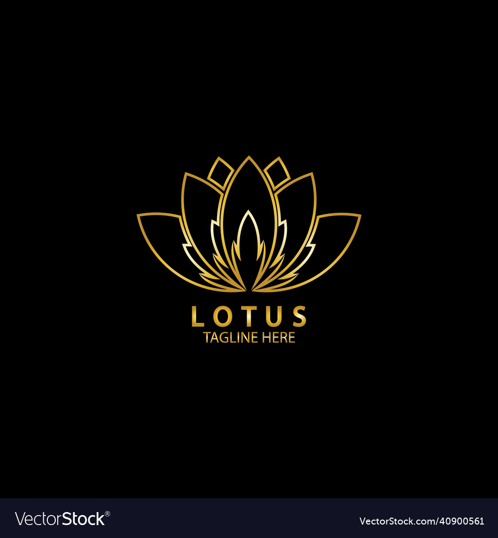 Golden lotus flower logo design template of lotus Vector Image