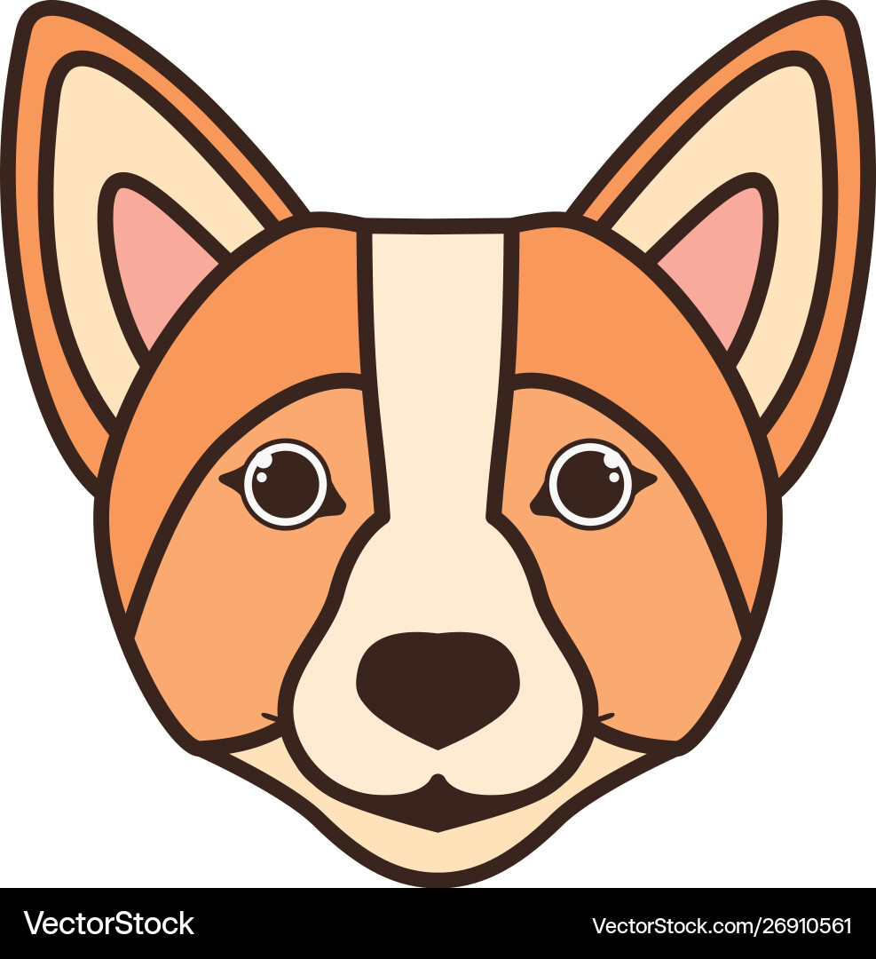 Head cute welsh corgi dog on white background Vector Image