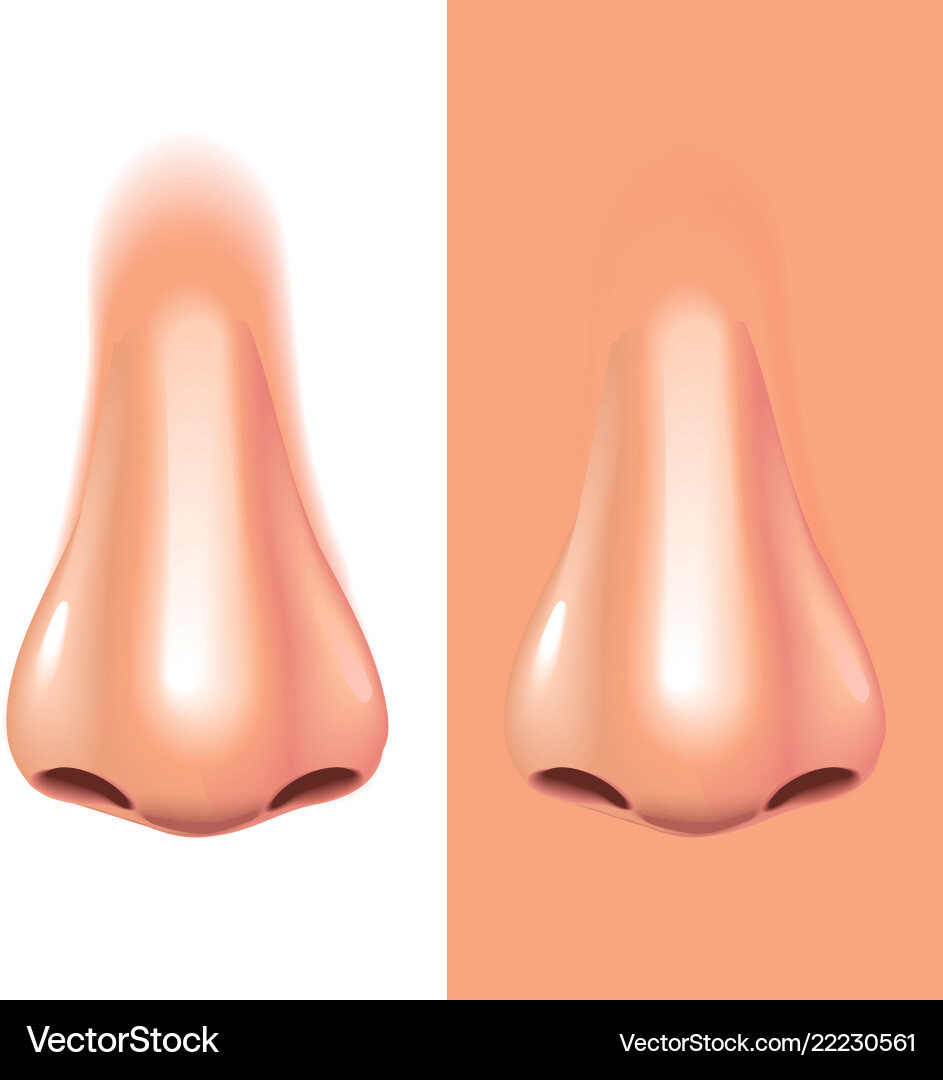 Nose isolated on white photo-realistic Royalty Free Vector