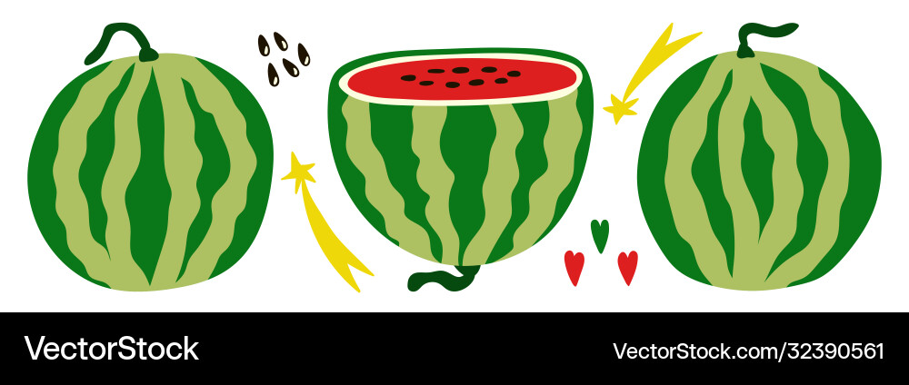 Ripe red watermelons whole and a half Royalty Free Vector