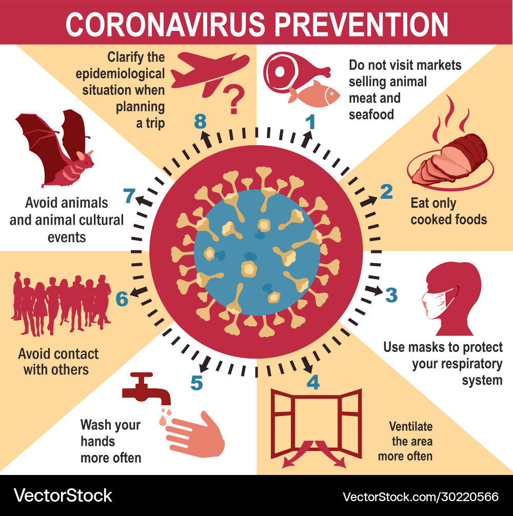 Coronavirus 2019-ncov disease prevention Vector Image