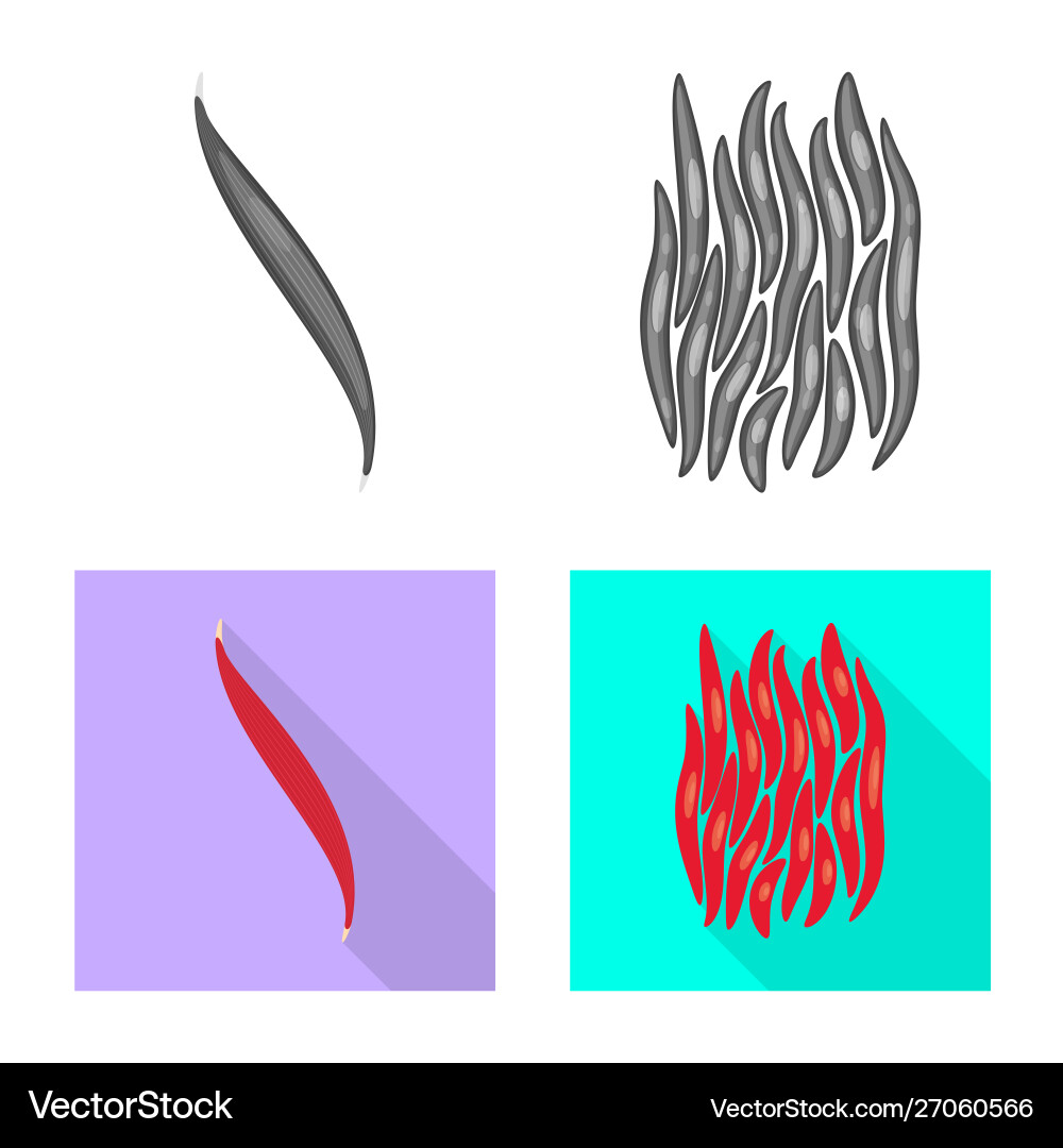 Fiber and muscular sign Royalty Free Vector Image