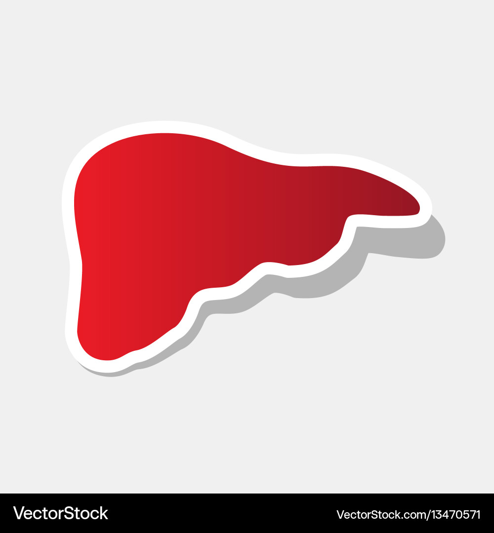 Human anatomy liver sign Royalty Free Vector Image